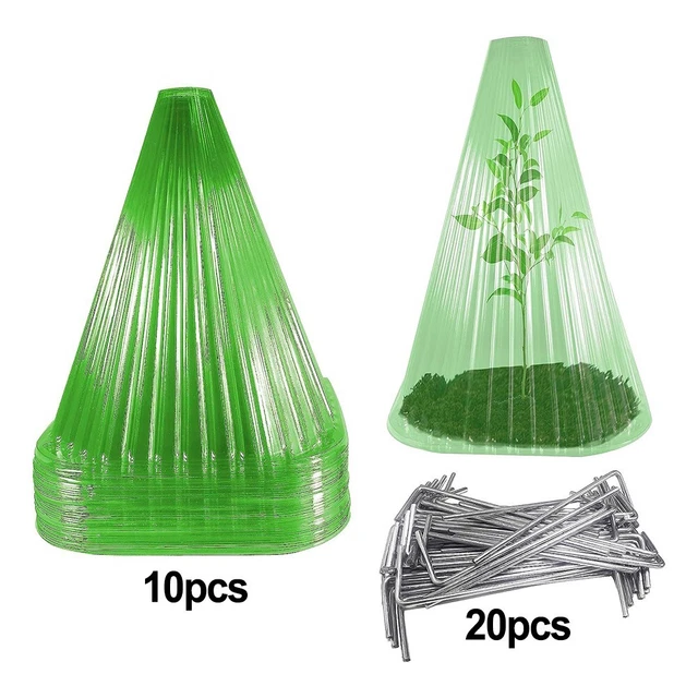 STEM PROTECTION WITH Garden Bells Square Plant Protection Hoods 10 Pcs ...