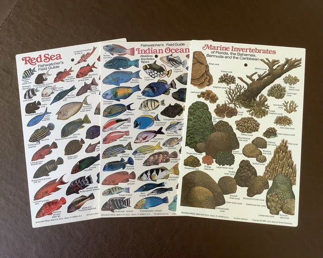 THREE NEW FISHWATCHER’S/MARINE Invertebrates Plastic Coloured Guides ...