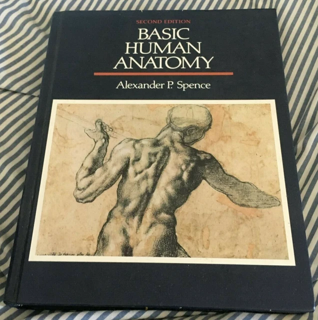 Alexander P Spence Basic Human Anatomy Second Edition 0805369864