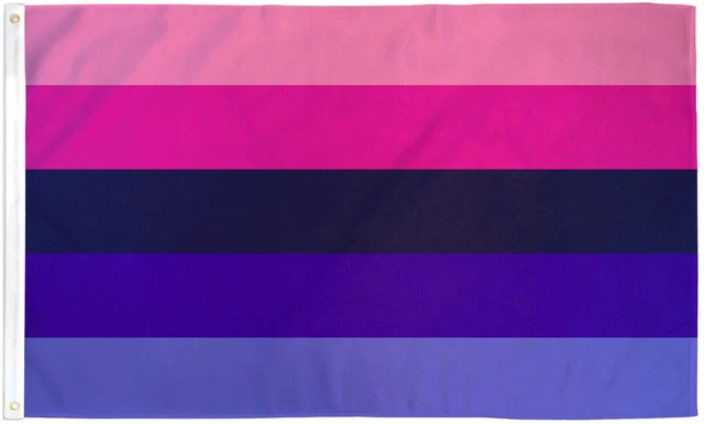 DRAPEAU OMNISEXUEL 3X5FT LGBTQIA Pride Drapeau LGBT Omni Drapeau 100D ...