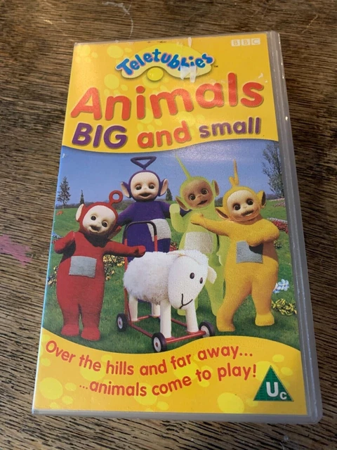 TELETUBBIES ANIMALS BIG and Small VHS VIDEO EUR 13,90 - PicClick IT
