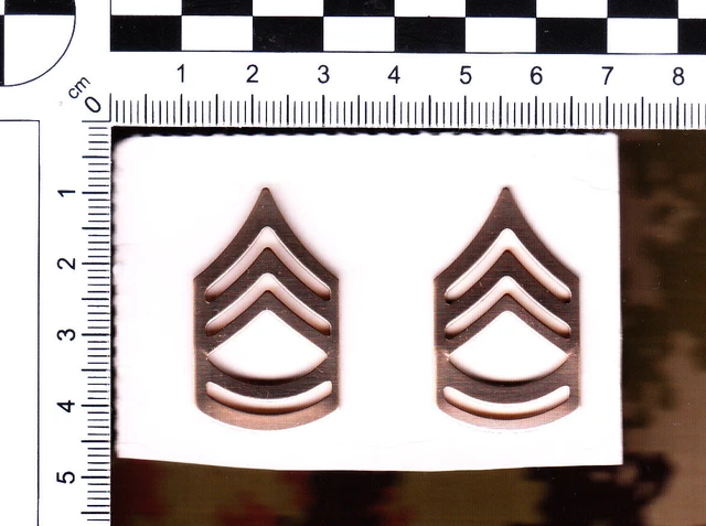 ARMY GOLD-BRITE ENLISTED Rank - SERGEANT FIRST CLASS (SFC) EUR 2,57 ...