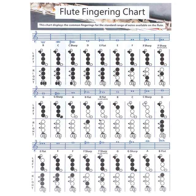 FLUTE FINGERING CHORD Chart Beginner Practice Aids Instrument Acces ...