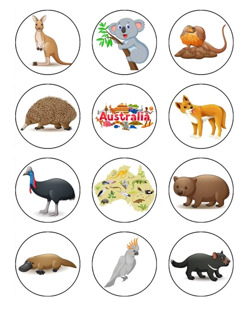 AUSTRALIAN ANIMALS CUPCAKE Toppers Edible Icing Image Cake Decorations 12 #01 EUR 8,56 - PicClick FR