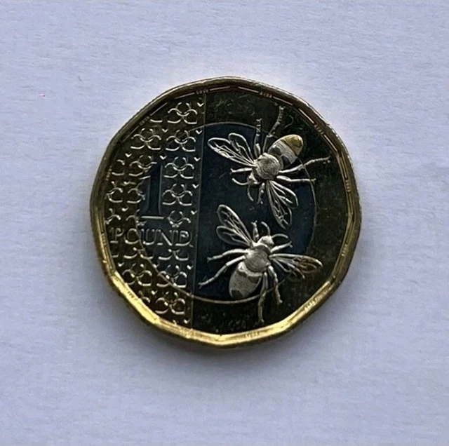 ULTRA RARE KING Charles 1 Pound £1 Rare Bee/ King Charles III, No Crown ...