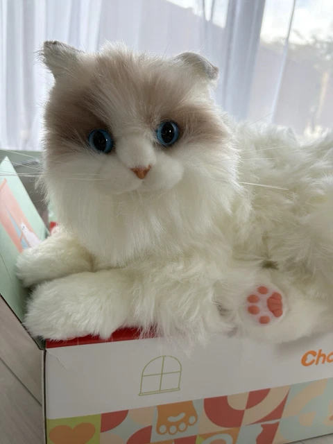 CHONGKER CAT REALISTIC Companion Animal Pet £78.70 - PicClick UK