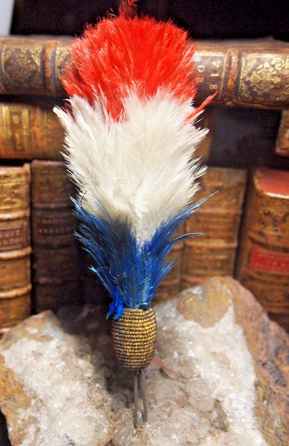 PLUMET BLEU BLANC rouge pour casques de pompier bel état avec son olive ...