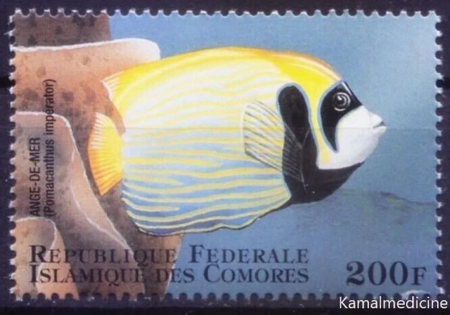 COMORES 1998 MNH, poisson-ange empereur, poisson, vie marine [Jw] EUR 2 ...