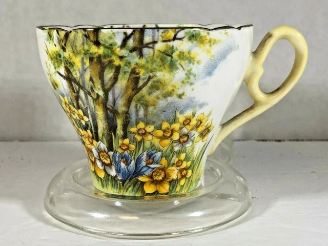 SHELLEY CHINA IN Pattern No. 13370 Daffodil on New Cambridge Shape ...