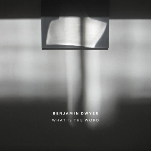 BENJAMIN DWYER BANJAMIN Dwyer: What Is the Word (CD) Album EUR 17,88 ...