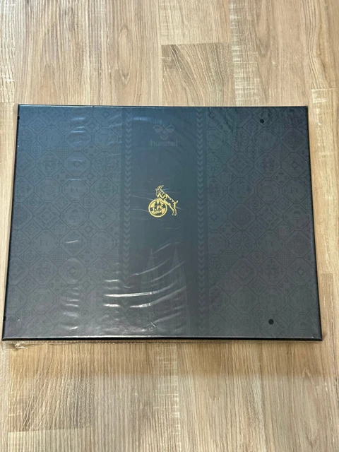 1. FC KÖLN Ausweichtrikot 2025/2026 Gr. L, 777 Jahre Kölner Dom Trikot ...