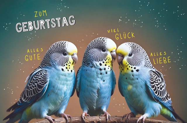 GEBURTSTAG KARTE MIT Briefumschlag blaue Wellensittiche viel Glück ...