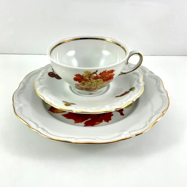 VINTAGE WINTERLING WEST Germany Gold Trim Tea Cup & Saucer Trio Fruit ...