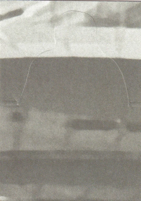 AFL 2024 TEAMCOACH Carlton Blues - Jacob Weitering Scanlen's Card No.12 ...