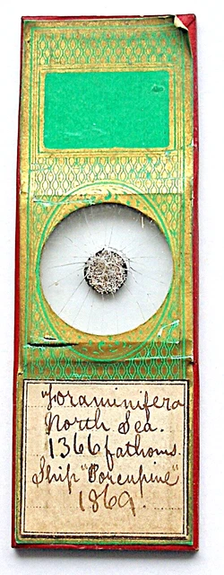 ANTIQUE MICROSCOPE SLIDE of N. SEA FORAMS ex 1869 EXPEDITION HMS ...