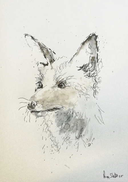 ORIGINAL 'FOX' A4 Size Pen & Ink Sketch By Ray Statter (NOT A PRINT) £ ...