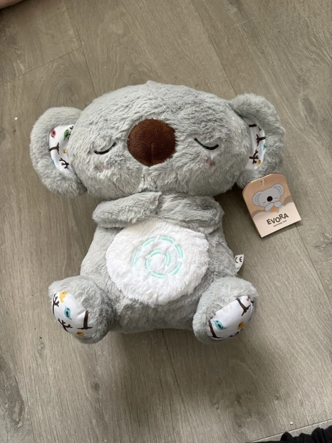 EVORA ANXIETY RELIEF Koala, The Relief Koala, Relief Koala Bear for ...