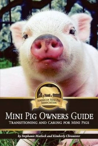 MINI PIG OWNERS Guide: Transitioning and Caring for Mini Pigs ...