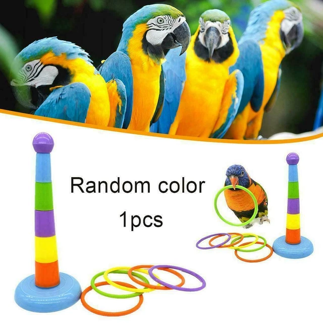 PET BIRD FERRULE Game Toy Parrot Intelligence Training F5 Rings Plastic ...