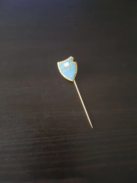 PIN ANSTECKNADEL (Alte Ansteck Pin Nadel) EUR 4,95 - PicClick DE