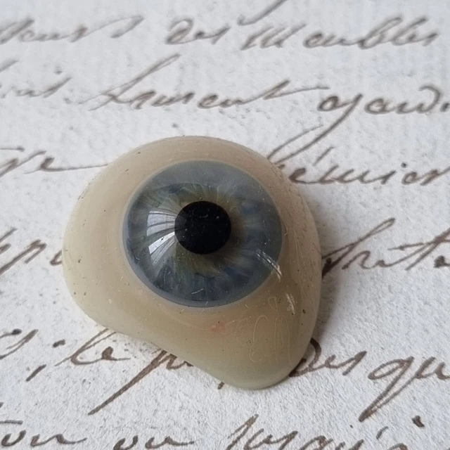 OEIL ANCIEN EN Verre Ophtalmologie Cabinet Curiosité Antique Glass Eye ...
