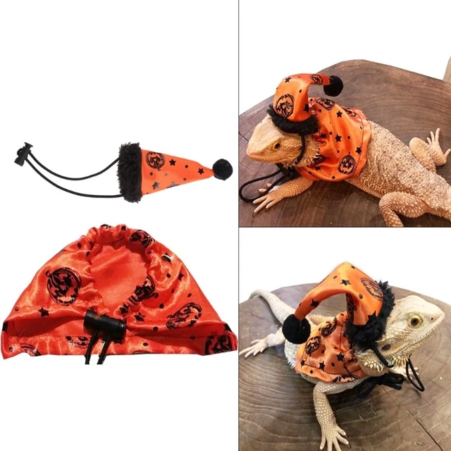 LIZARD COSTUME SET Orange Bearded Dragon Halloween Hat and Cloak ...