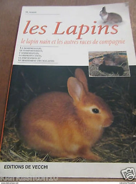 LES LAPINS LE lapin nain et les autres races de compagnie | Avanzi EUR ...