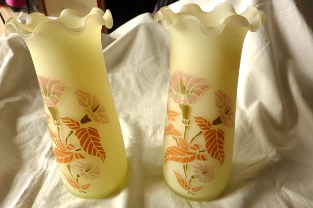 PAIRE DE VASES verre opalin volubilis émaillés EUR 45,00 - PicClick FR