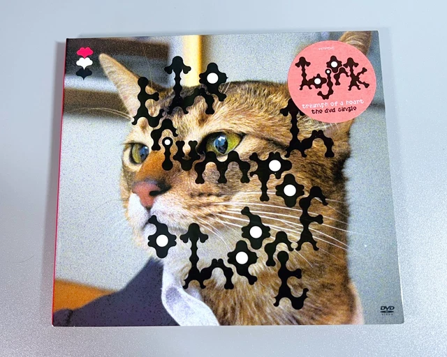 BJORK TRIUMPH OF A Heart DVD Digipak Single £18.00 - PicClick UK