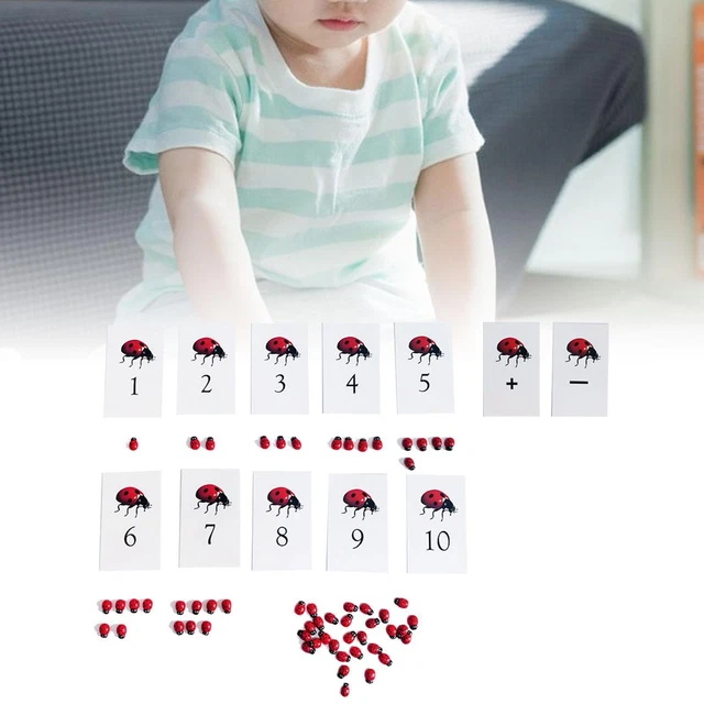 WOODEN COUNTING LADYBUGS Early Addition and Subtraction with 12 Flash ...