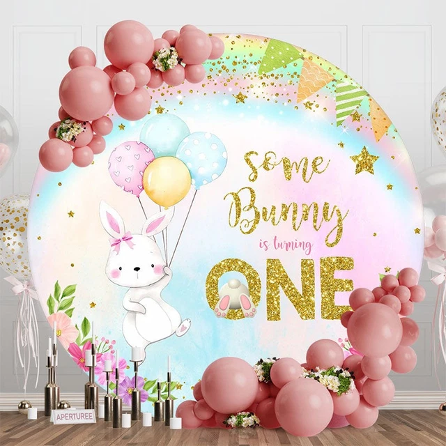 RAINBOW RABBIT BALLOON Round 1St Birthday Backdrop $37.90 - PicClick AU