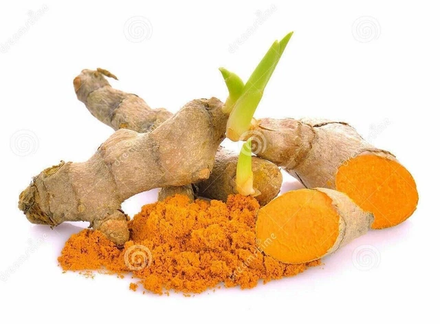 20+ SEMILLAS SEMILLAS de Raíz de Cúrcuma Longa Rizomas Hierba de Raíz y ...