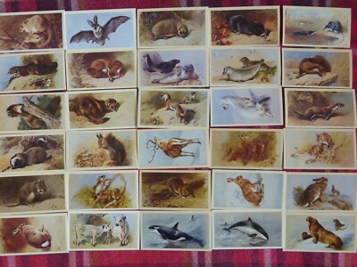 PLAYERS GRANDEE ~ BRITISH MAMMALS ~ FULL SET of 30 CARDS ~ PRISTINE ...