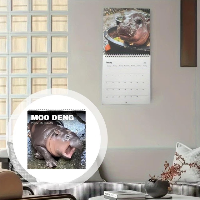 2025 MOO DENG Calendar, 2025 Moo Deng Pygmy Hippo Monthly Calendar Wall ...