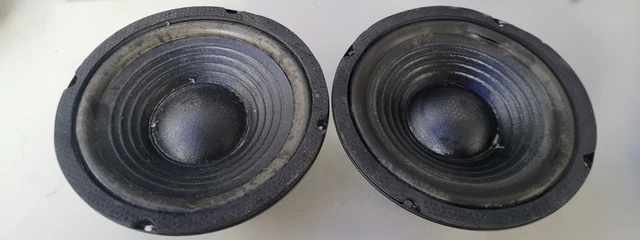 RAW THRILLS ARCADE 6.5 inch speaker 8 OHM £65.00 - PicClick UK