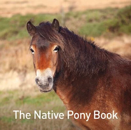 NATURE BOOK SERIES: the Native Pony Book Hardcover Jane Russ £4.90 ...