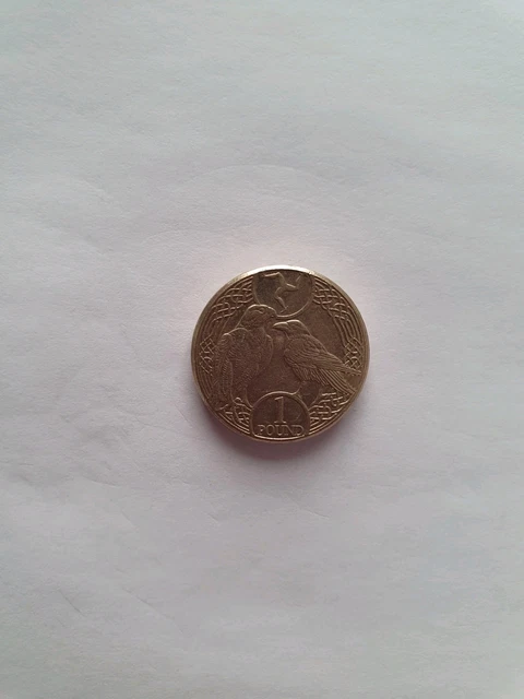 ISLE OF MAN £1 coin, raven & falcon 2017 in good circulated condition £ ...