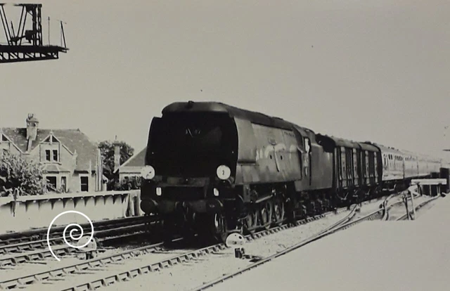 SR RAILWAY PHOTOS; Loco; 35001 "Channel Packet" c1955 WET ROOM PHOTO 5½ ...