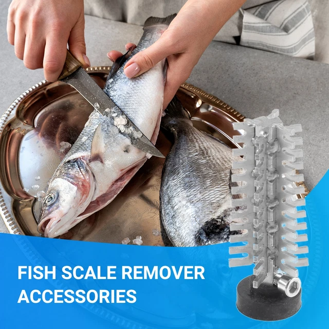 FISH SCALE REMOVER Accessories Electric Scaler Remove Cutter Head Tool ...