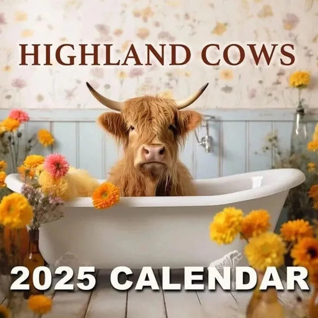 HIGHLAND COW CALENDAR 2025 Highland Cow Gifts Christmas Gifts Cows £8. ...