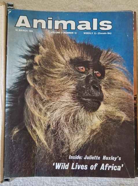 1964 ANIMALS THE Armand Denis Magazines Vol 3 Number 14 - Vol 4 Number ...