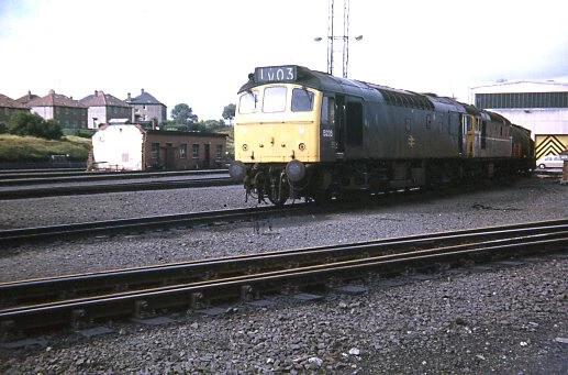 ORIGINAL COLOUR SLIDE of D5235 BR class 25 diesel loco £1.50 - PicClick UK