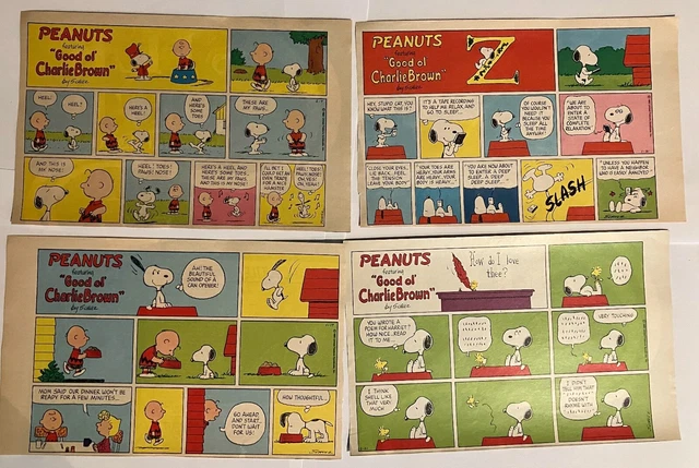 Peanuts Comic Strip
