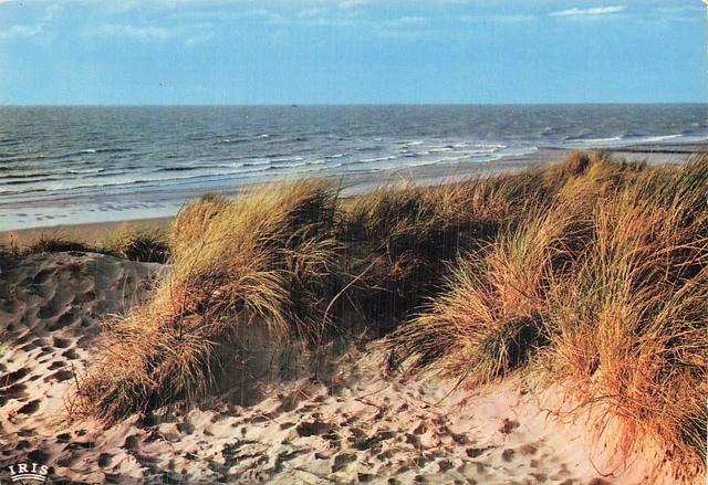 85 BRETIGNOLLES SUR Mer Plages De La Paree EUR 5,00 - PicClick FR