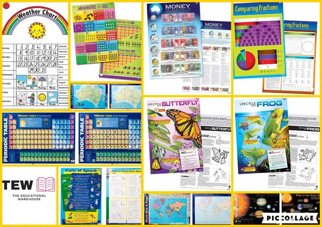 EDUCATIONAL POSTERS CHARTS Teacher Resource Maths Literacy Science ...