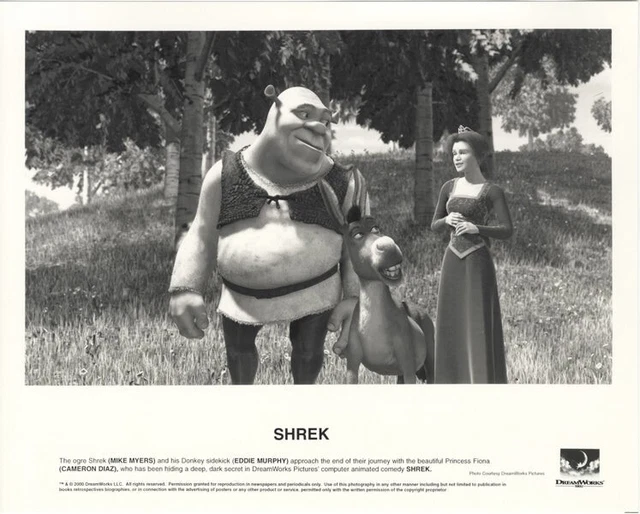 Shrek Princess Fiona FOR SALE! - PicClick UK