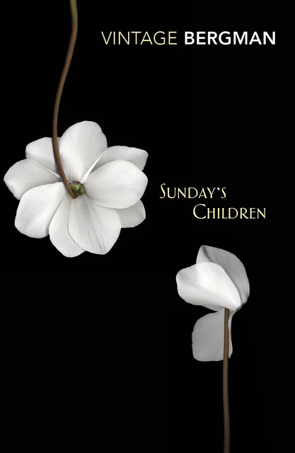 SUNDAY'S CHILDREN BY Ingmar Bergman (English) Paperback Book EUR 17,73 ...