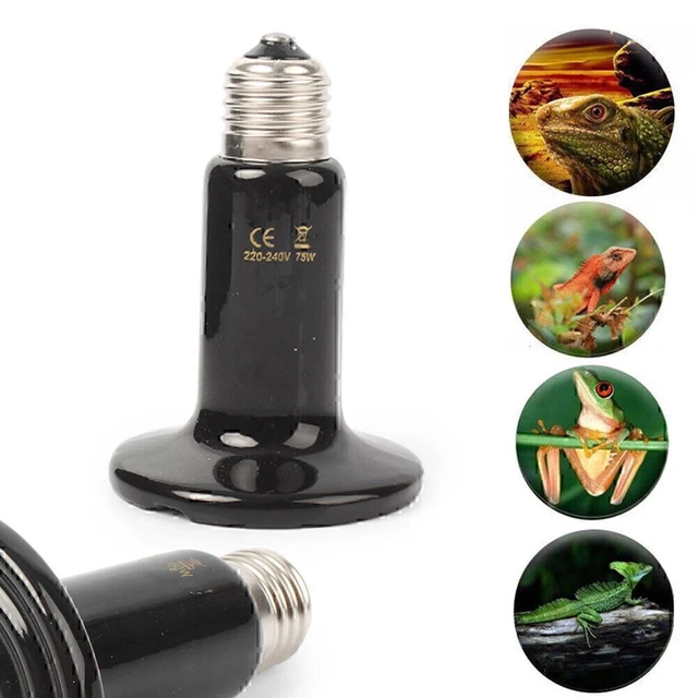 1X 75W CERAMIC Heater Emitter Brooder Infrared Lamp Bulb Reptile Pet ...