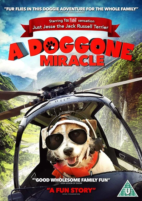 A DOGGONE MIRACLE (DVD) Cynthia Rothrock Paul Logan (US IMPORT) £10.45 ...