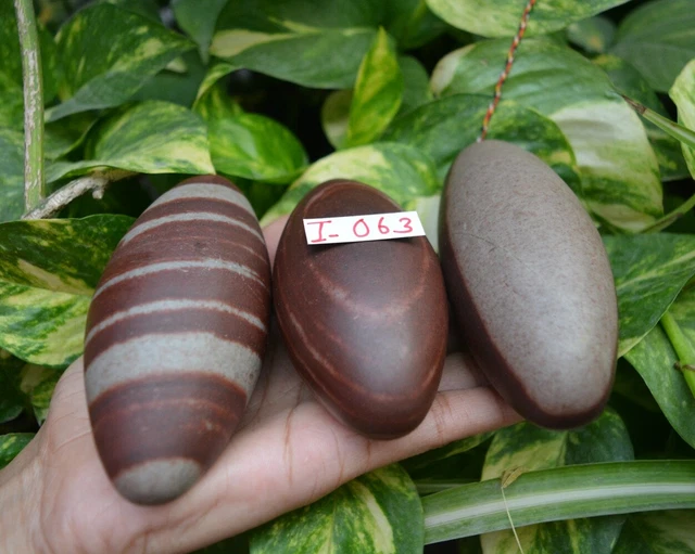 4 & SHIVA Lingam Pierre Narmada Rivière Inde Très Attrective & Rare ...